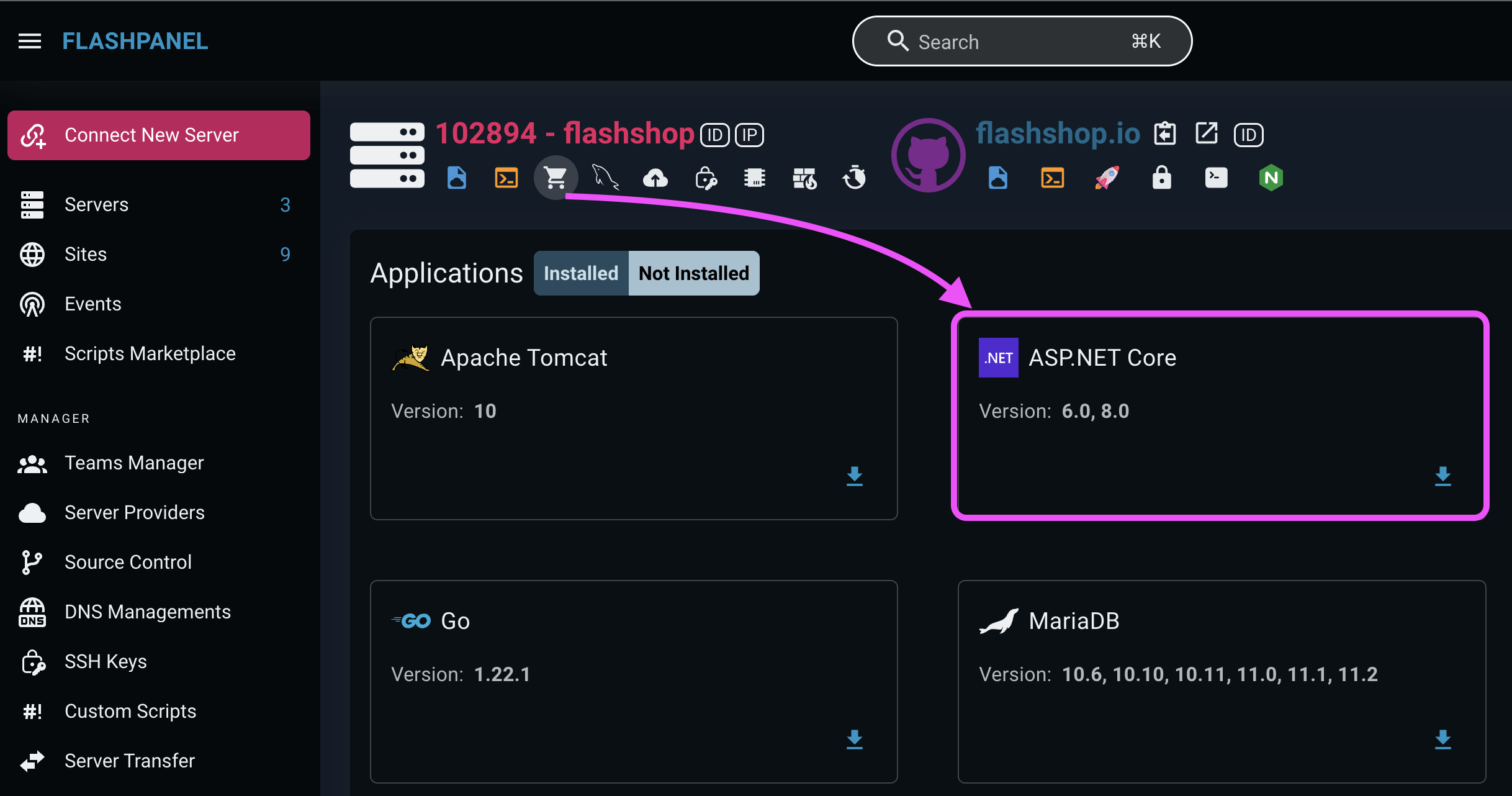 Deploy ASP.NET website | FlashPanel